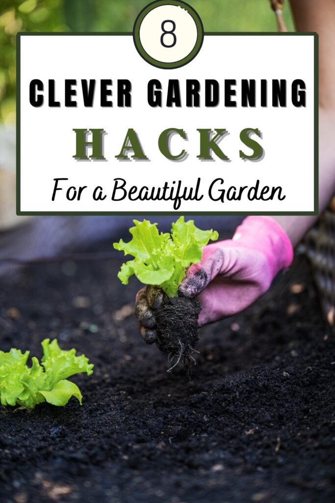 8 Clever Gardening Hacks For a Beautiful and Successful Garden