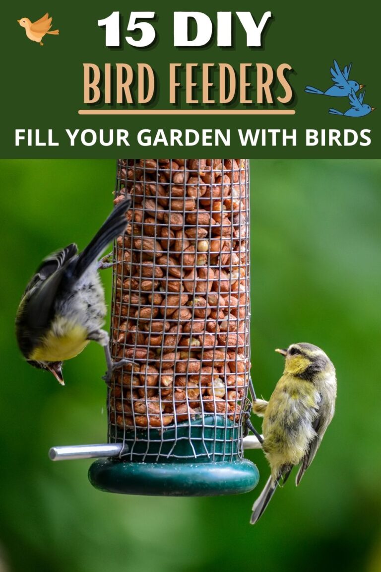 15 DIY Bird feeders That Will Fill Your Garden With Birds