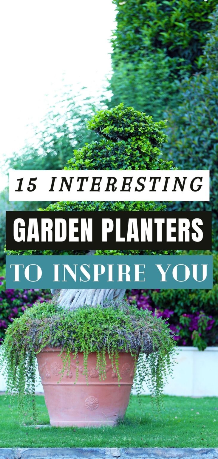 15 Interesting Garden Planters to Inspire You